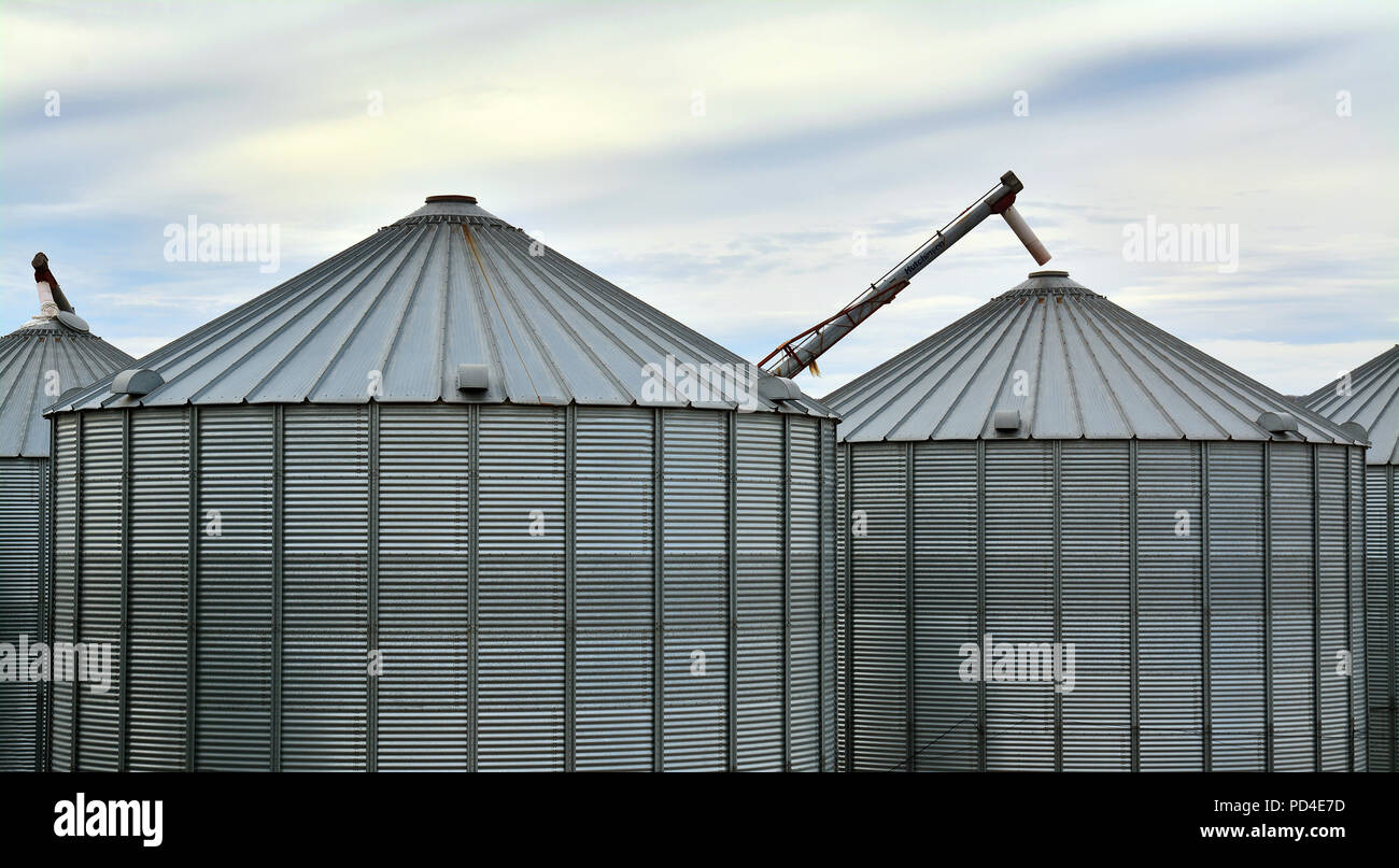 two massive grain silos Stock Photo - Alamy