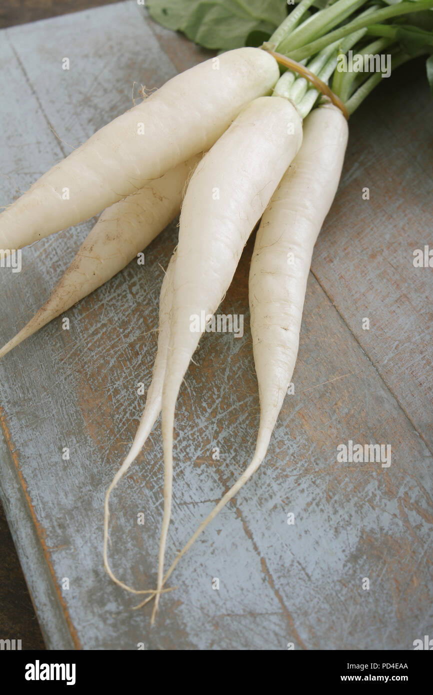 preparing fresh white radishes Stock Photo - Alamy