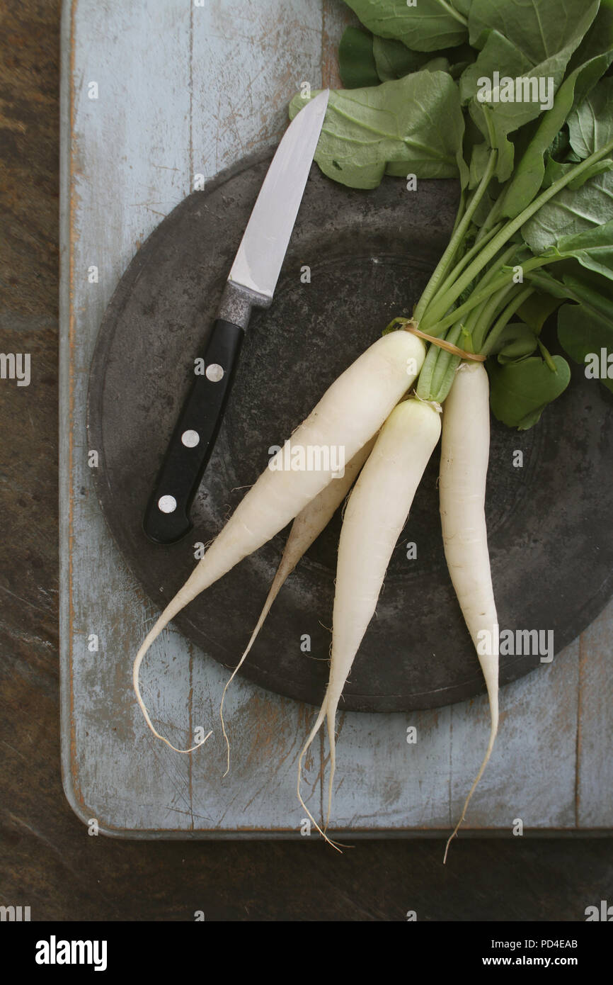 Mooli radishes hi-res stock photography and images - Alamy