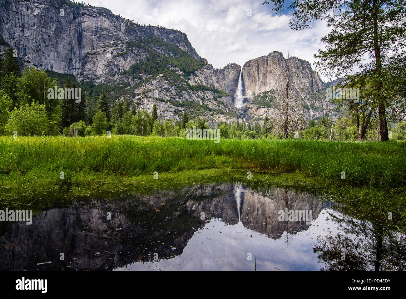 Yosemite overlook hi-res stock photography and images - Alamy