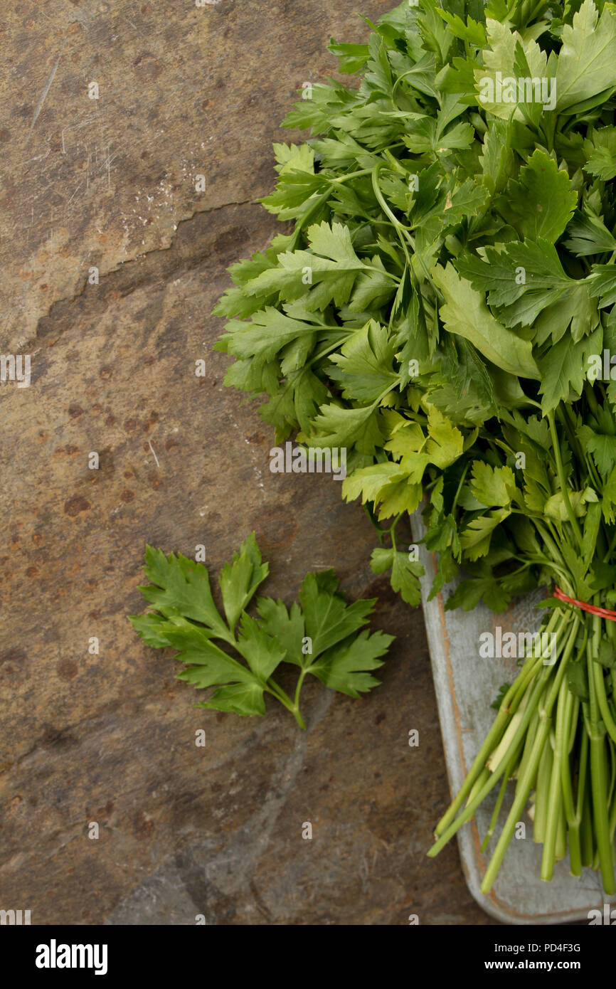 preparing fresh parsley Stock Photo - Alamy