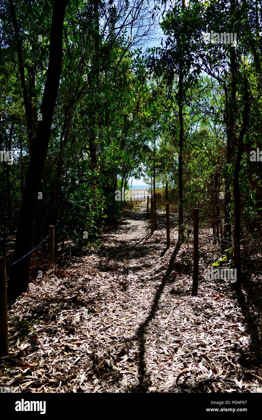 Walkway to the beach, Toomulla QLD, Australia Stock Photo - Alamy