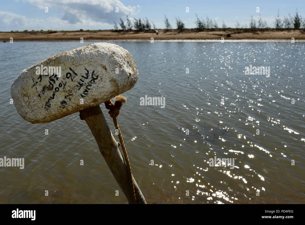 Identification images hi-res stock photography and images - Alamy