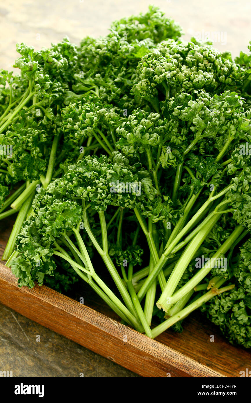 preparing fresh parsley Stock Photo - Alamy