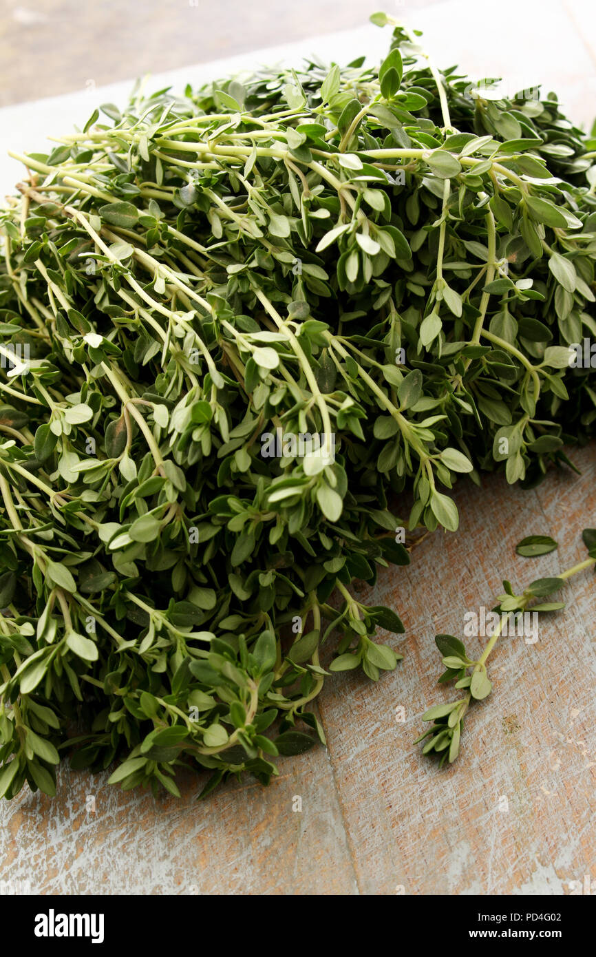 preparing fresh herb thyme Stock Photo - Alamy