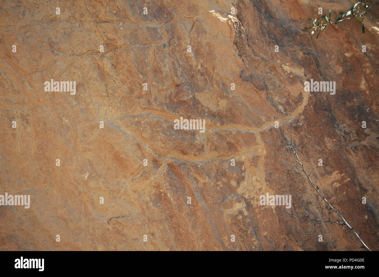 Ancient petroglyphs in Gobustan (Qobustan), Azerbaijan Stock Photo - Alamy