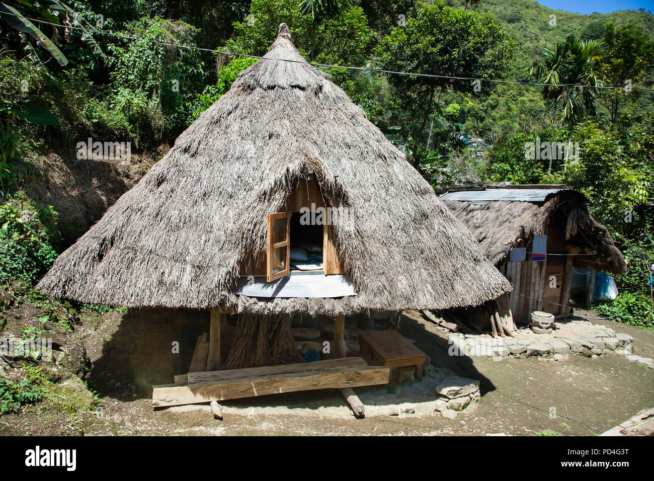 Carabao philippines hi-res stock photography and images - Alamy