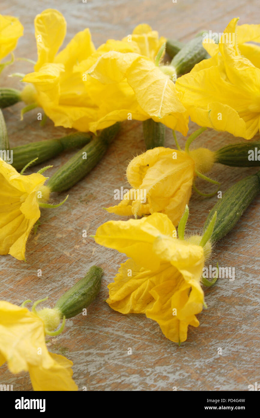 edible cucumber flowers Stock Photo - Alamy