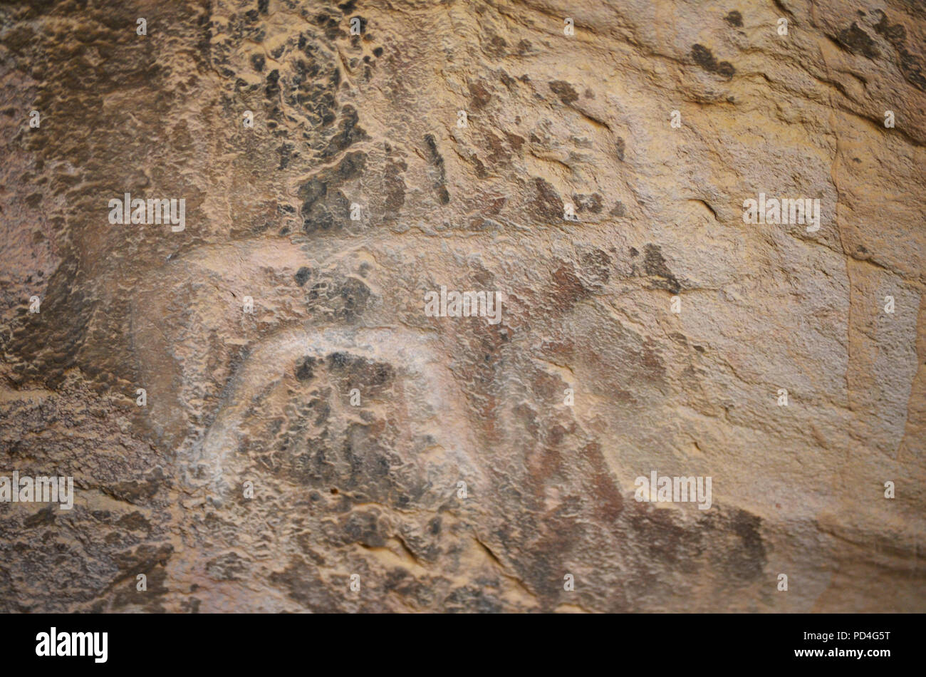 Ancient petroglyphs in Gobustan (Qobustan), Azerbaijan Stock Photo - Alamy