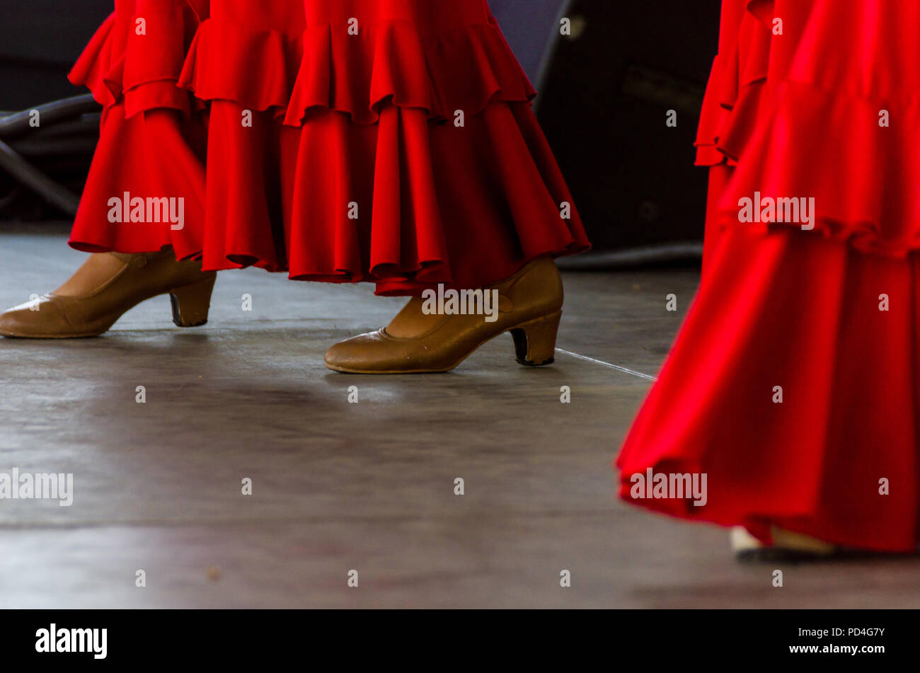 closeup of a typical shoes to the traditional Spanish flamenco dance ...