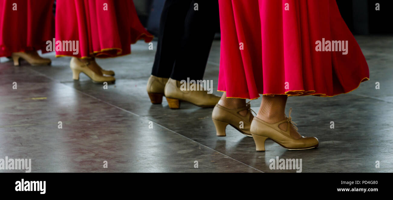 closeup of a typical shoes to the traditional Spanish flamenco dance ...