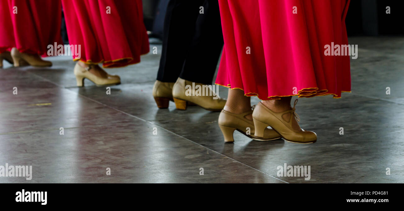 closeup of a typical shoes to the traditional Spanish flamenco dance ...