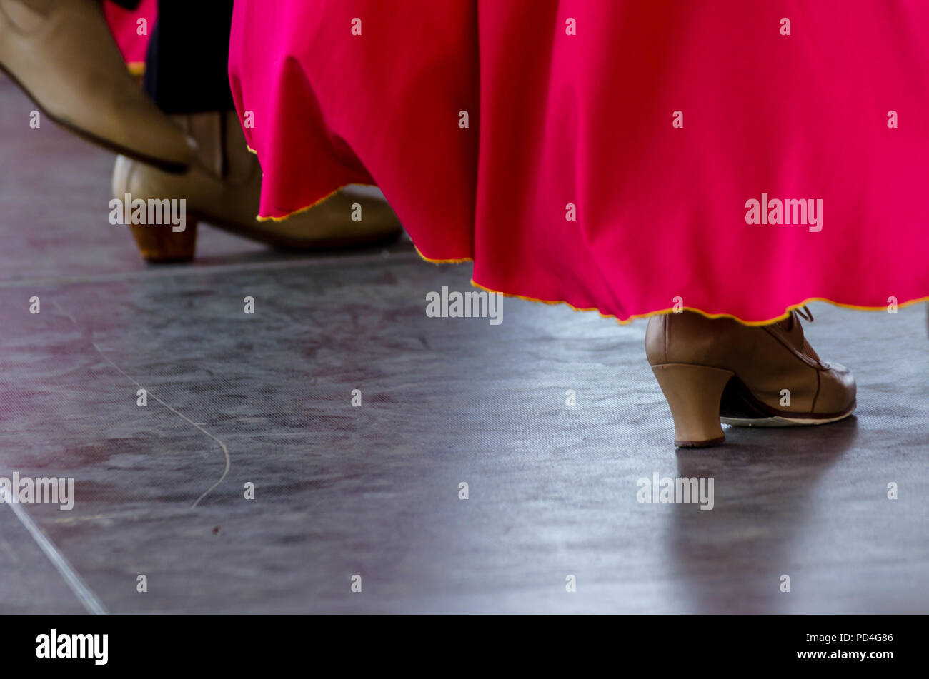 closeup of a typical shoes to the traditional Spanish flamenco dance ...