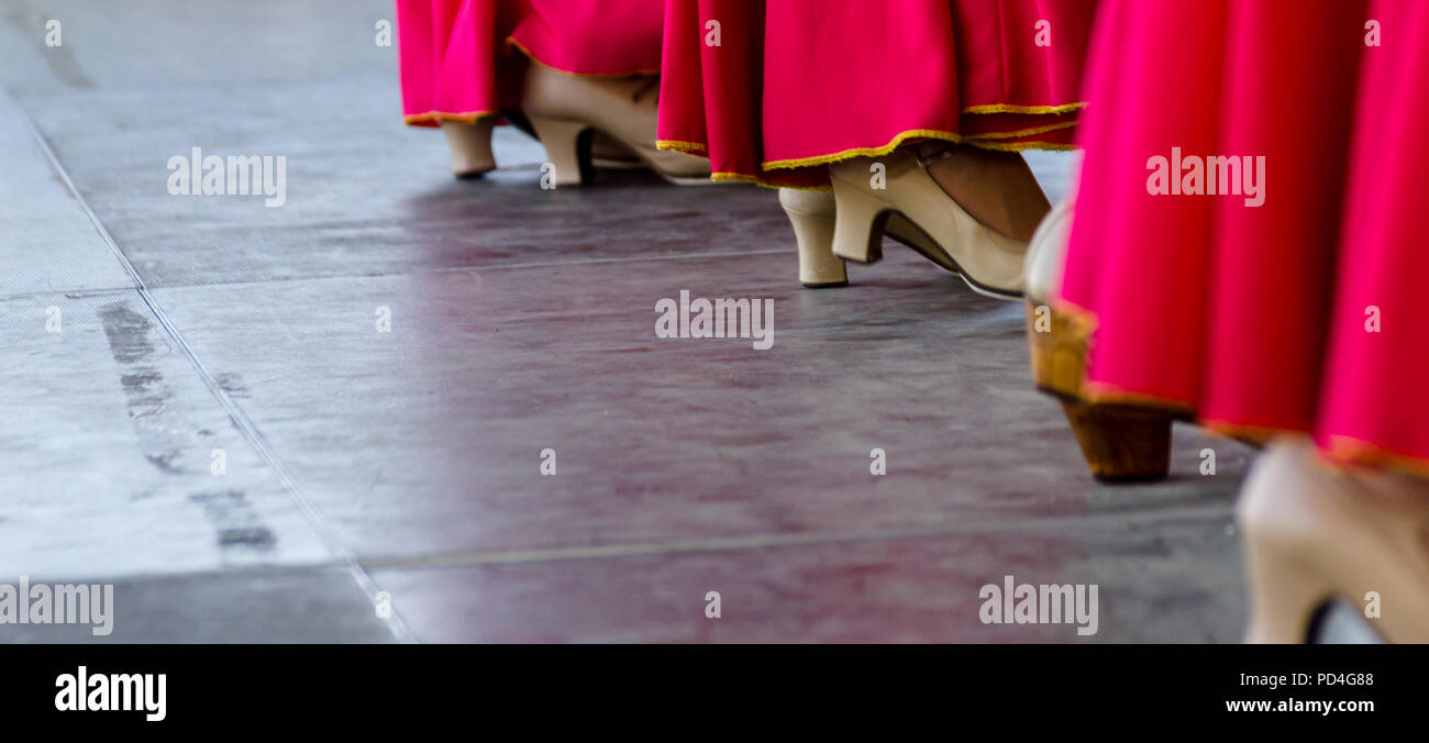 closeup of a typical shoes to the traditional Spanish flamenco dance ...