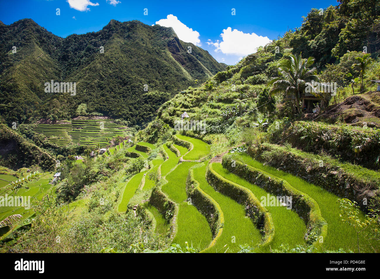 2000 year old rice terraces hi-res stock photography and images - Alamy