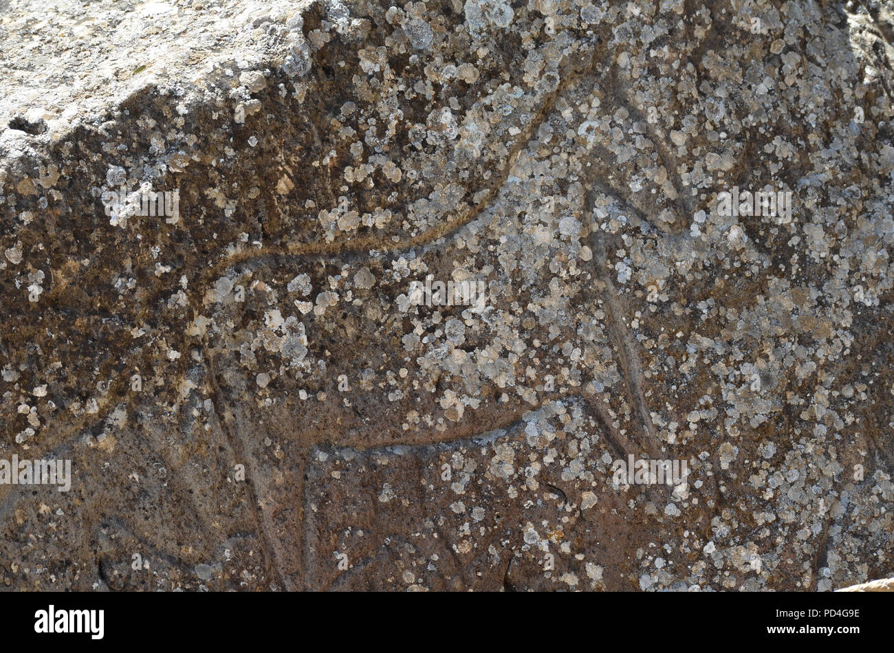 Ancient petroglyphs in Gobustan (Qobustan), Azerbaijan Stock Photo - Alamy