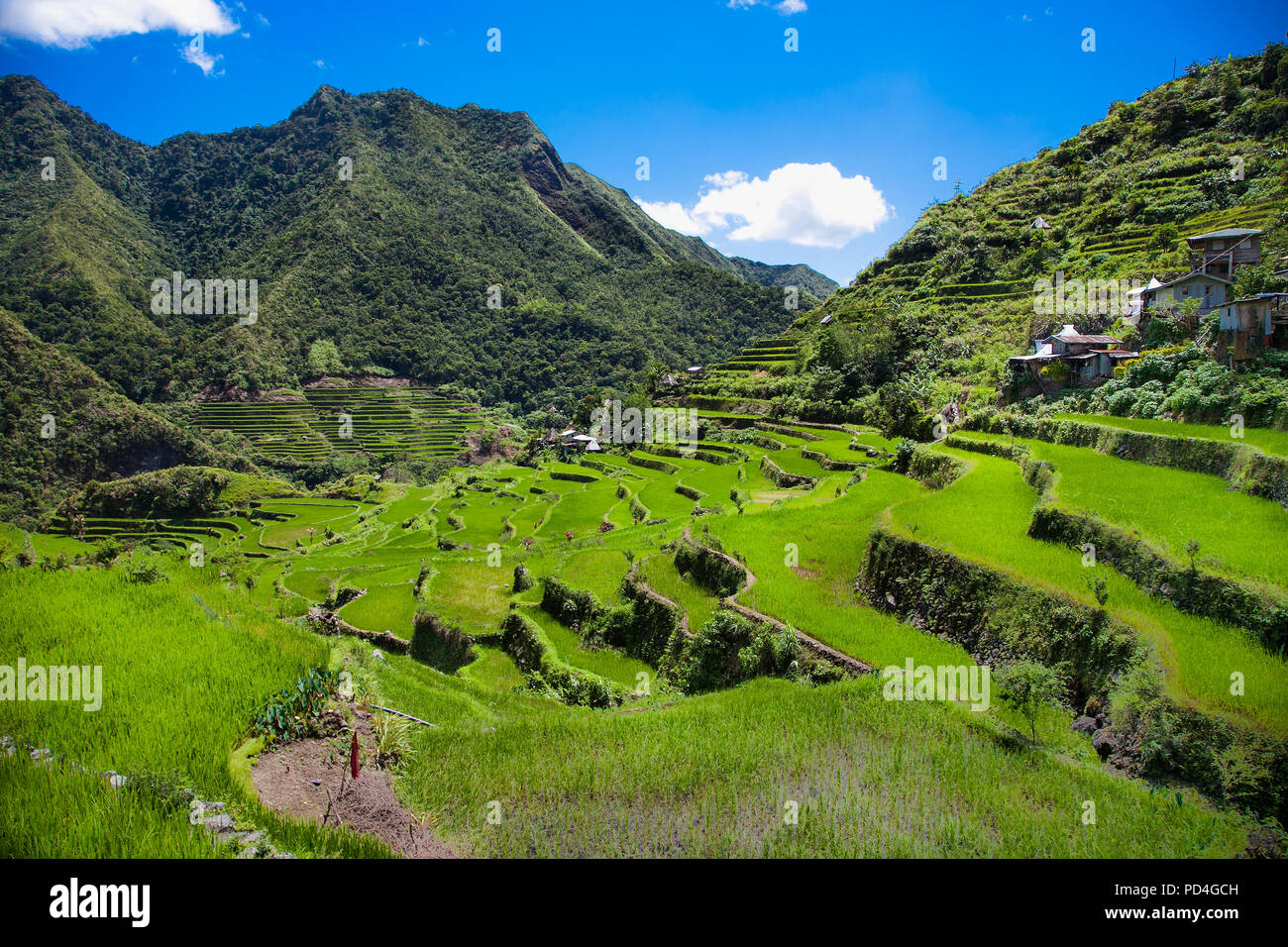 2000 year old rice terraces hi-res stock photography and images - Alamy
