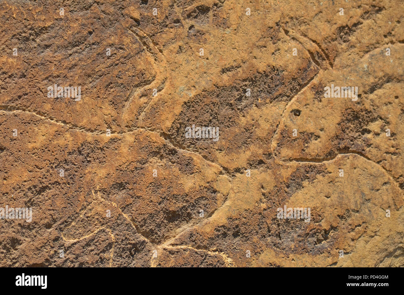 Ancient petroglyphs in Gobustan (Qobustan), Azerbaijan Stock Photo - Alamy