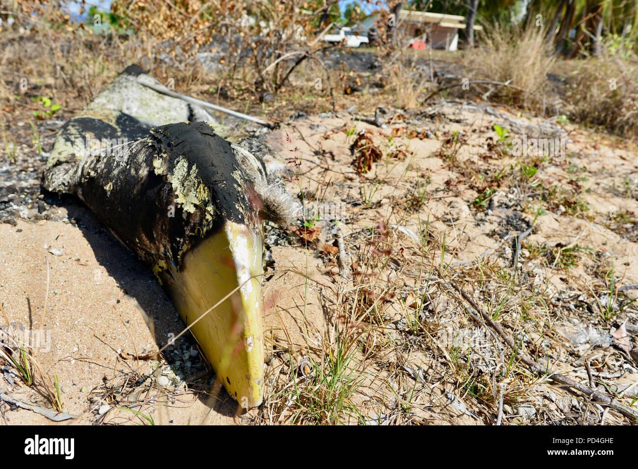 Fire walking on burnt hi-res stock photography and images - Alamy