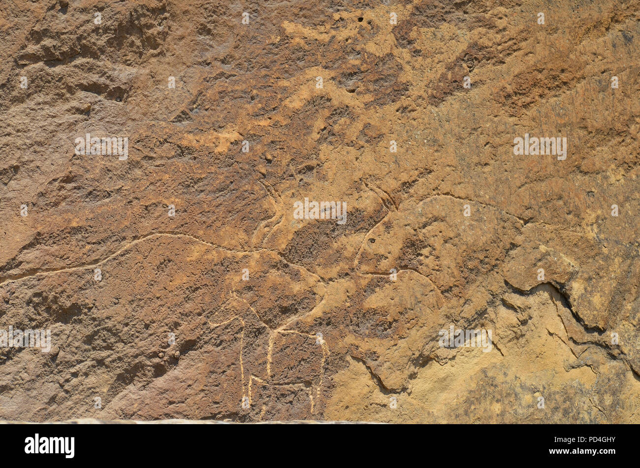 Ancient petroglyphs in Gobustan (Qobustan), Azerbaijan Stock Photo - Alamy