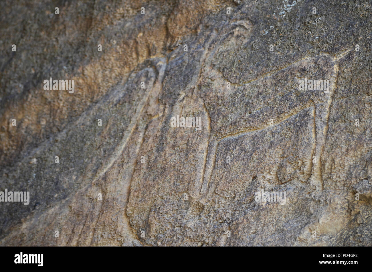 Ancient petroglyphs in Gobustan (Qobustan), Azerbaijan Stock Photo - Alamy