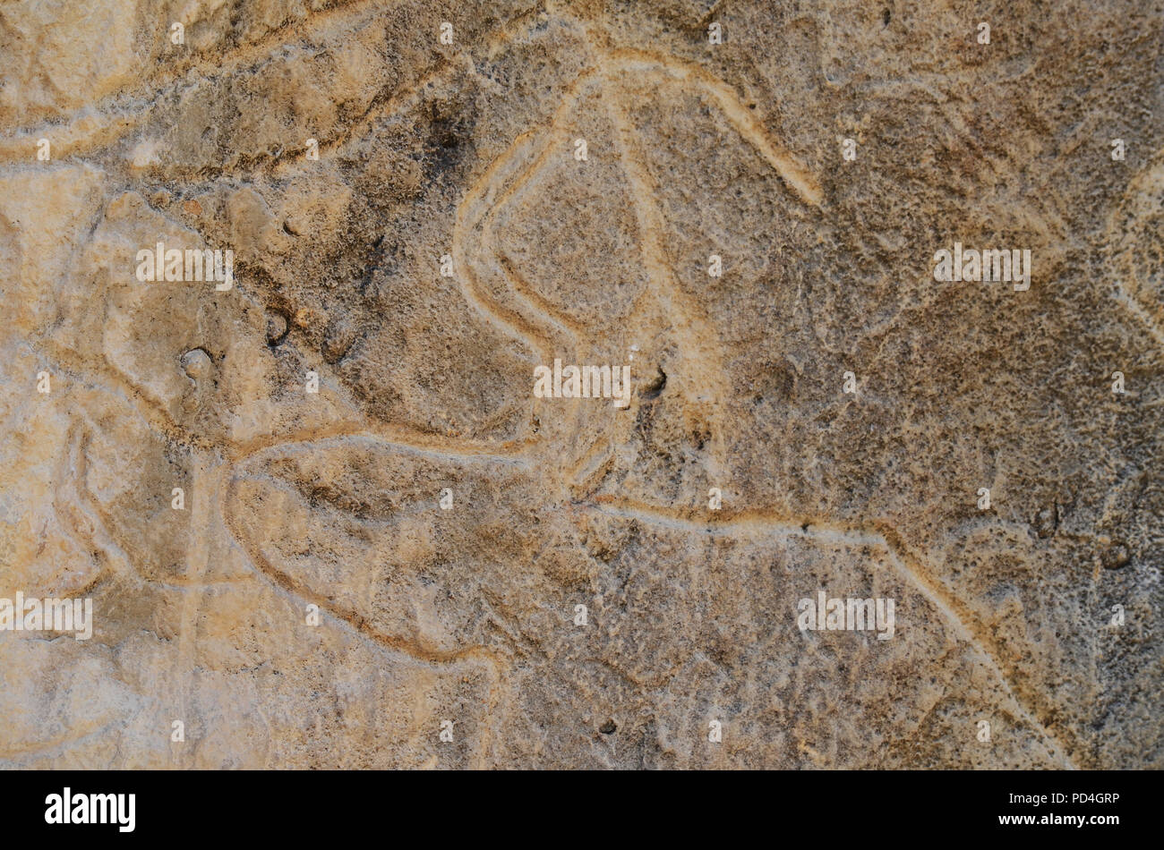 Ancient petroglyphs in Gobustan (Qobustan), Azerbaijan Stock Photo - Alamy