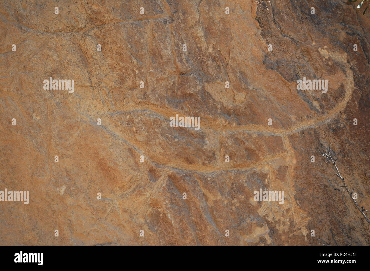 Ancient petroglyphs in Gobustan (Qobustan), Azerbaijan Stock Photo - Alamy