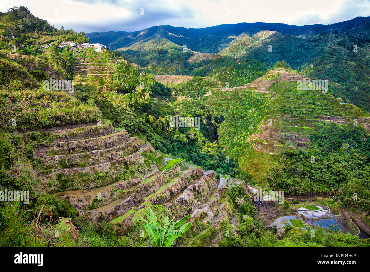 Batad Rice Terraces, UNESCO Heritage, Central Luzon on Philipines ...