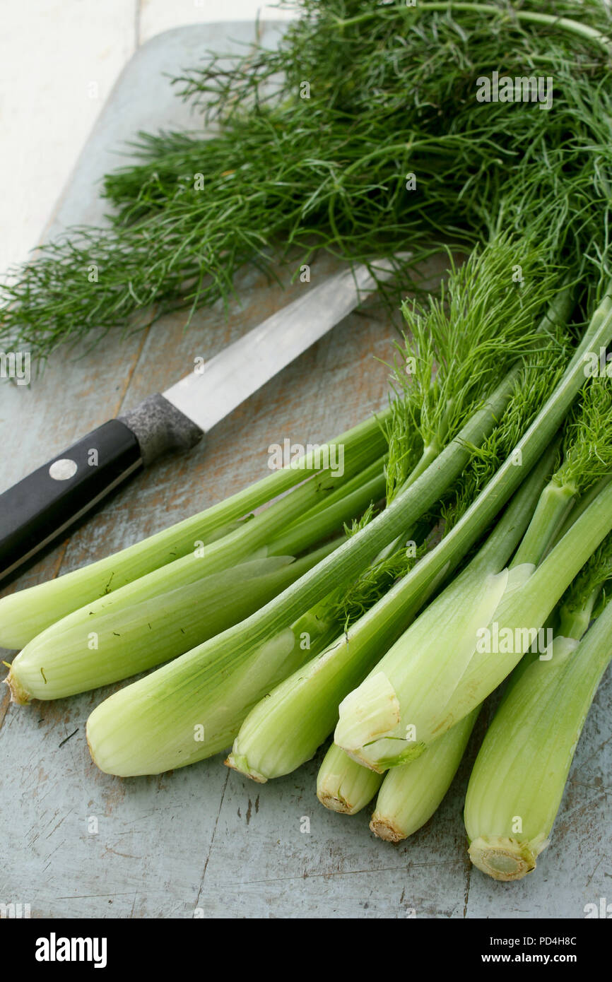 Micro herb fennel hi-res stock photography and images - Alamy