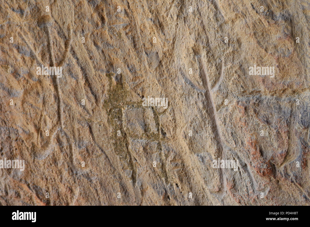 Ancient petroglyphs in Gobustan (Qobustan), Azerbaijan Stock Photo - Alamy