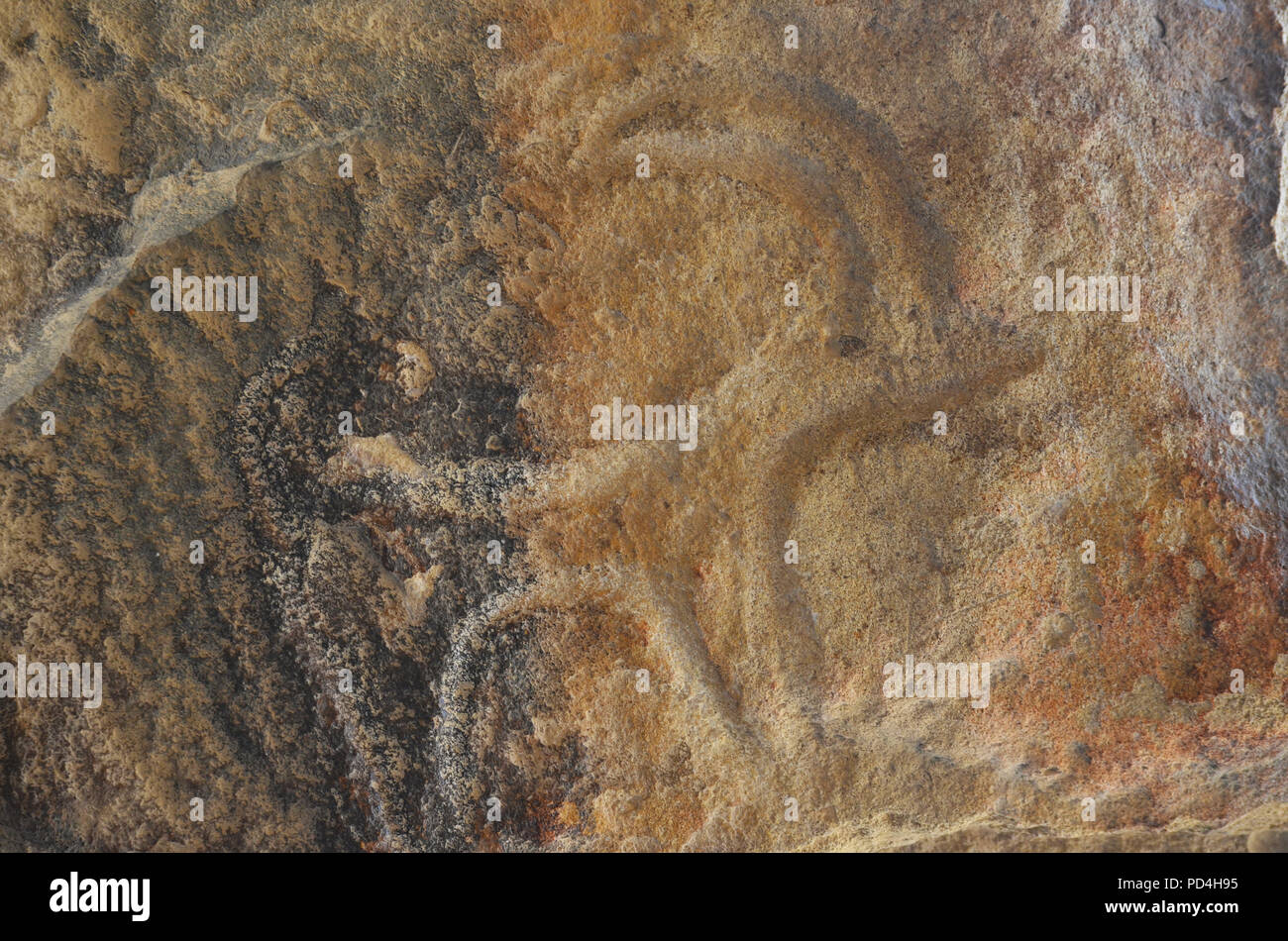 Ancient petroglyphs in Gobustan (Qobustan), Azerbaijan Stock Photo - Alamy
