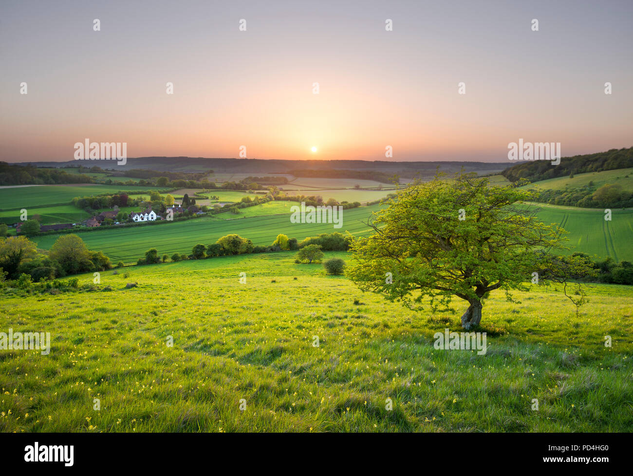 English country cottage farm hi-res stock photography and images - Alamy