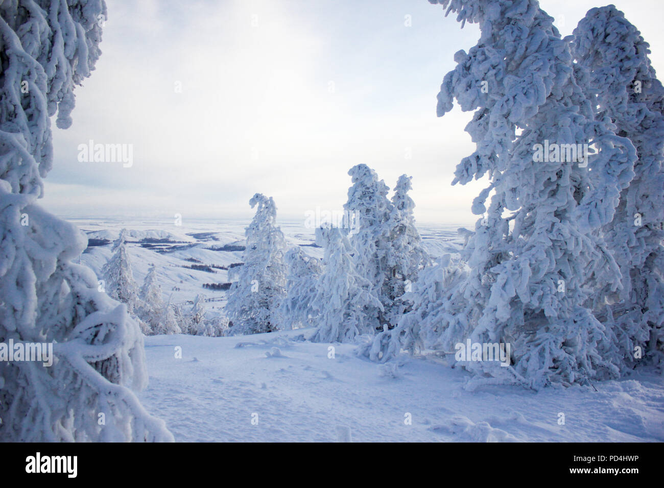 Winter landscape, snowy Ural mountains in cloudy day, Russia Stock ...