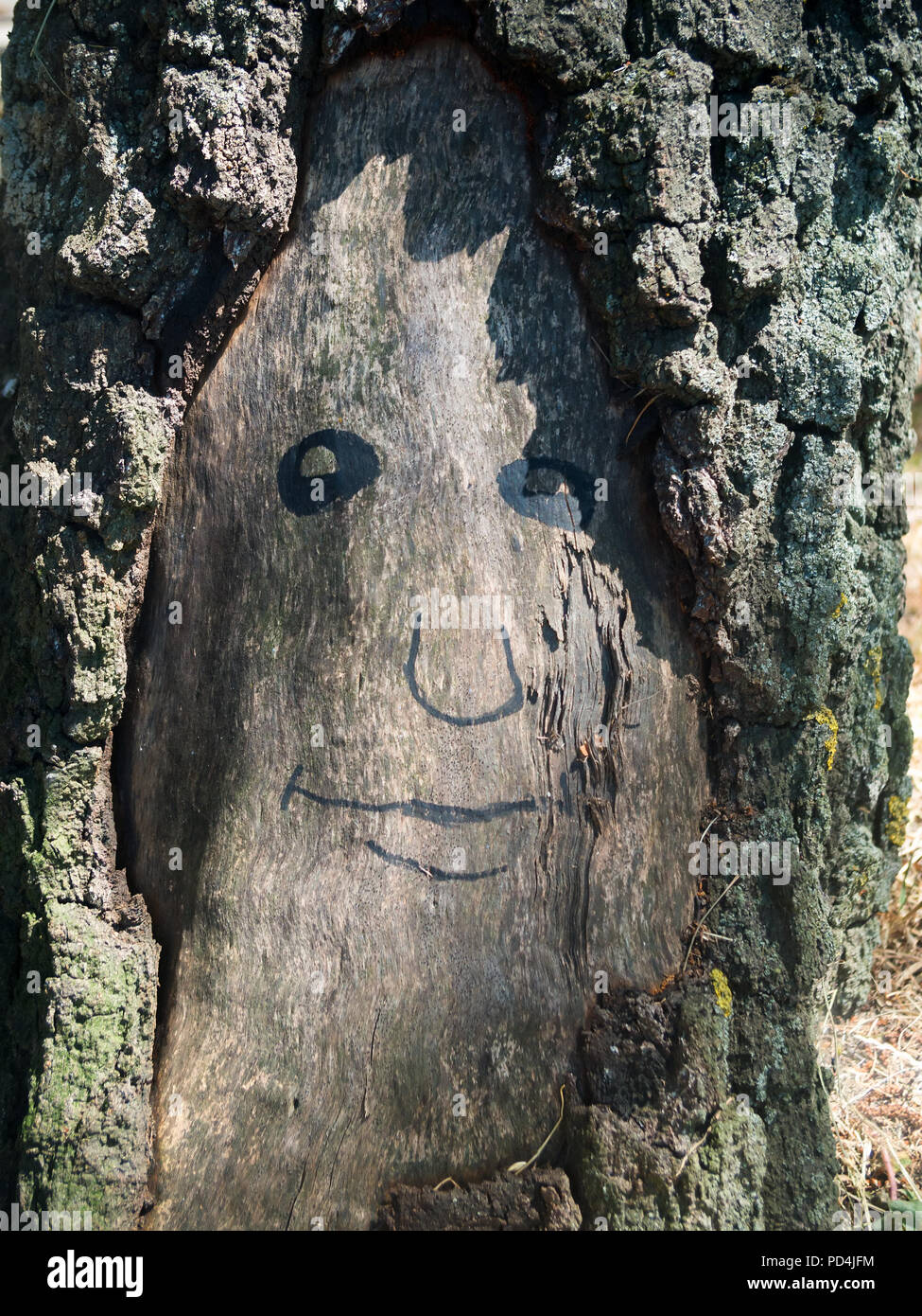 Painted face on tree hi-res stock photography and images - Alamy