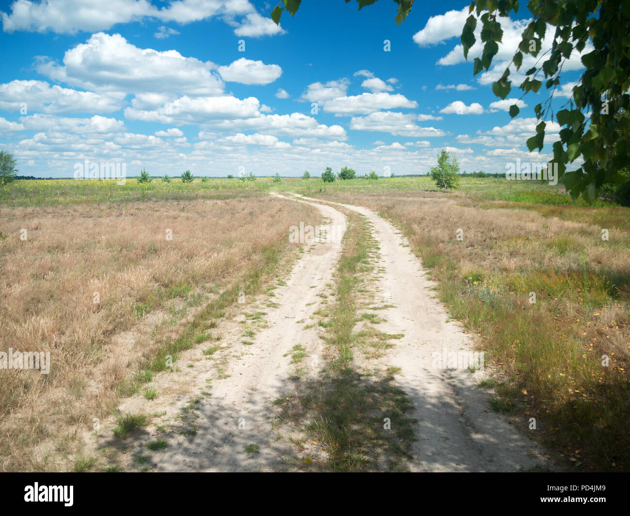 Valley through wheat fields hi-res stock photography and images - Alamy
