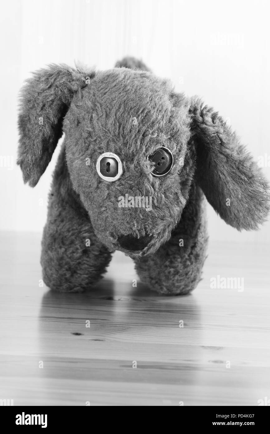 Sad toy pet with the buttons eyes, black and white Stock Photo - Alamy