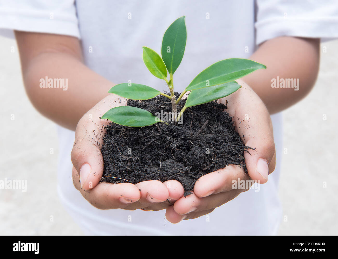 Hand soil leaf plant hi-res stock photography and images - Alamy