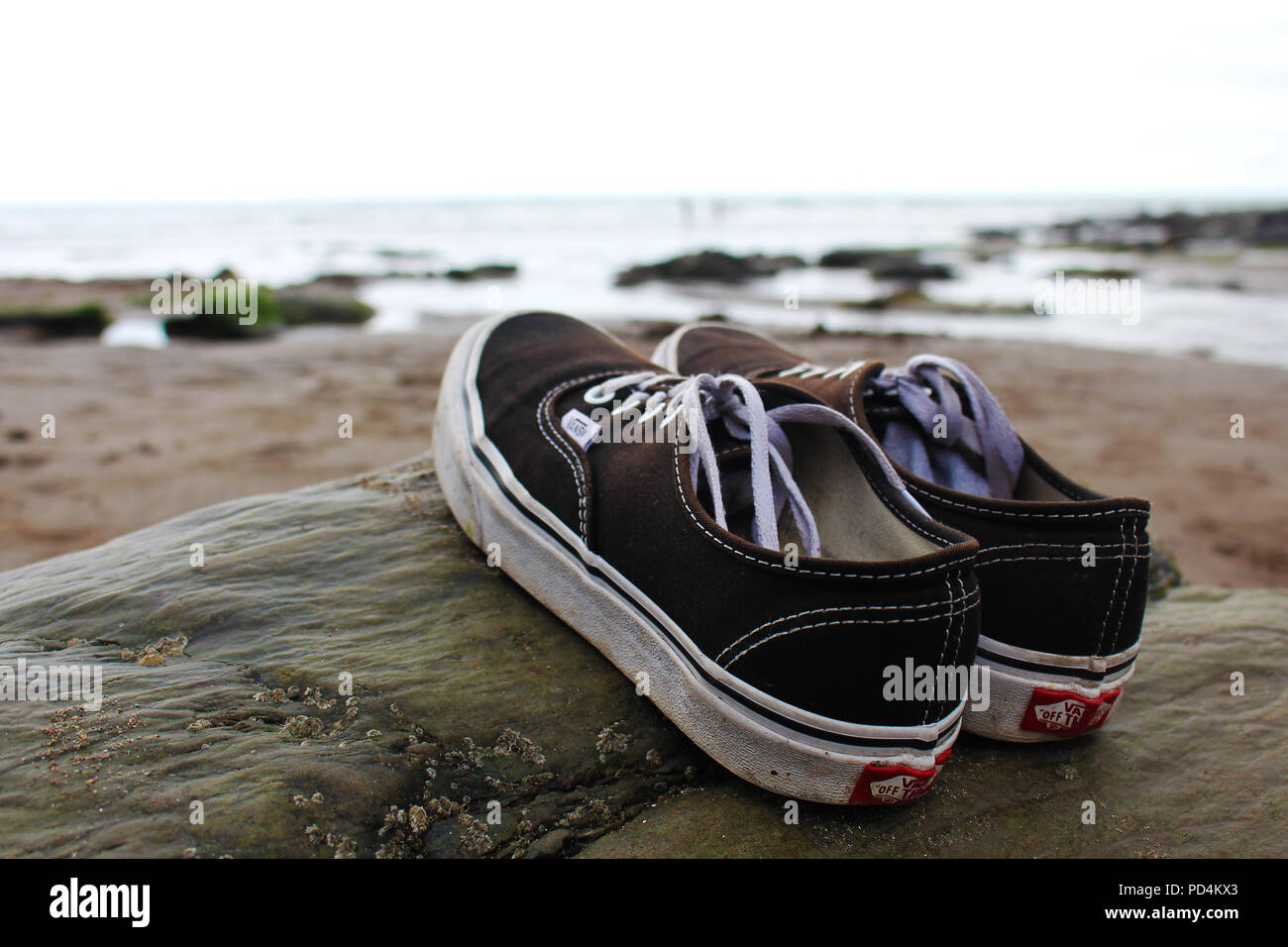 Devonshire coast hi-res stock photography and images - Alamy