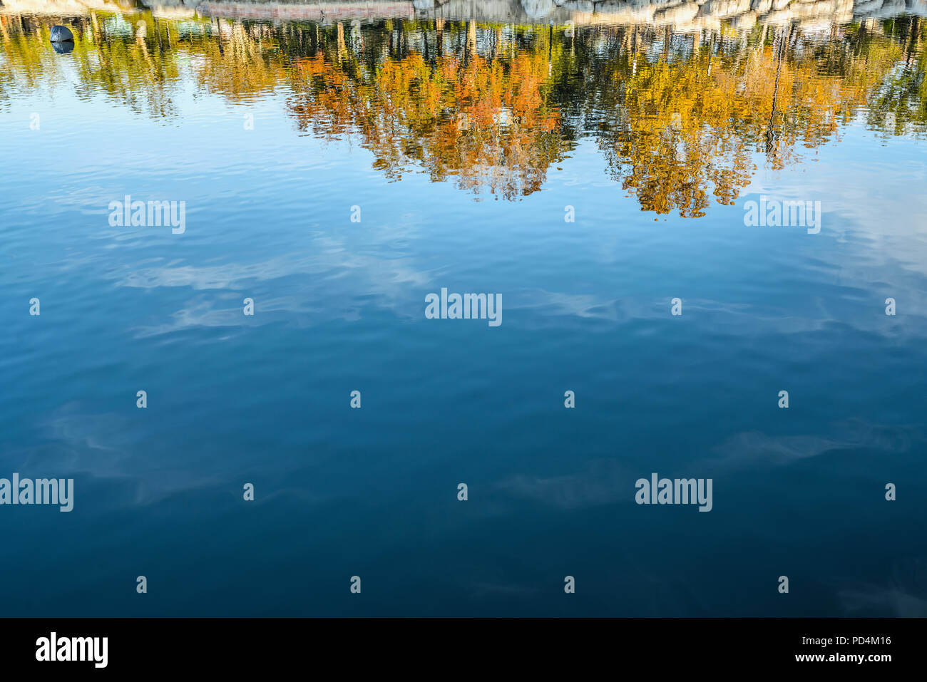 Upside down autumn trees with blue sky reflection in water Stock Photo ...