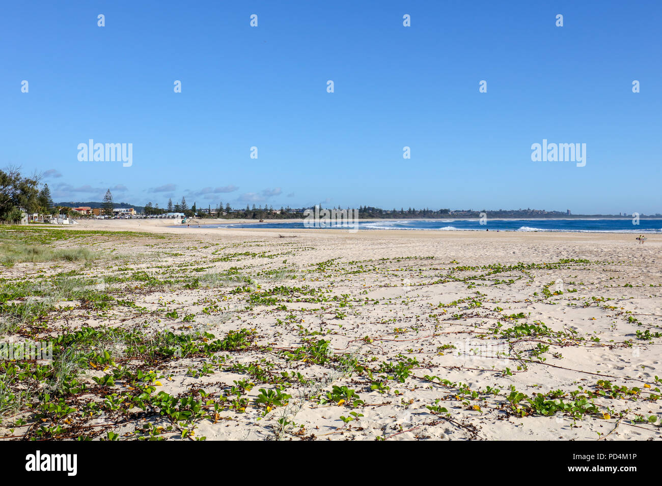 Kingscliff Beach Australia Stock Photo - Alamy
