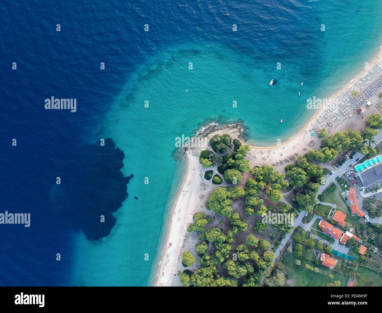 Halkidiki forest greece pine hi-res stock photography and images - Alamy