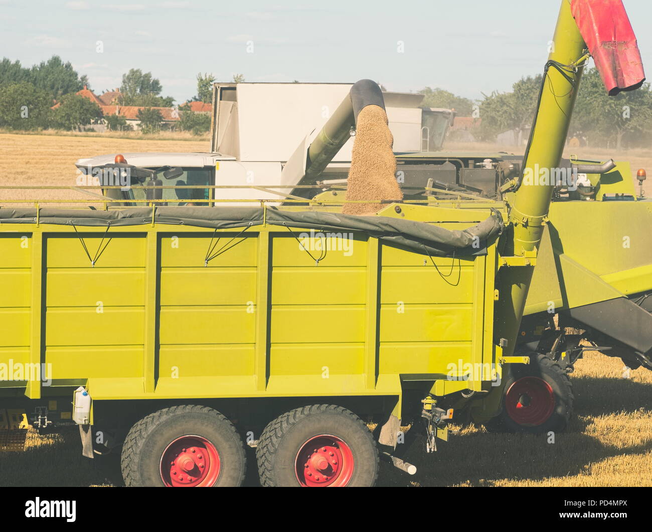 Combine Harvester Unloading Grain into Trailer on a Sunny Summer Day ...