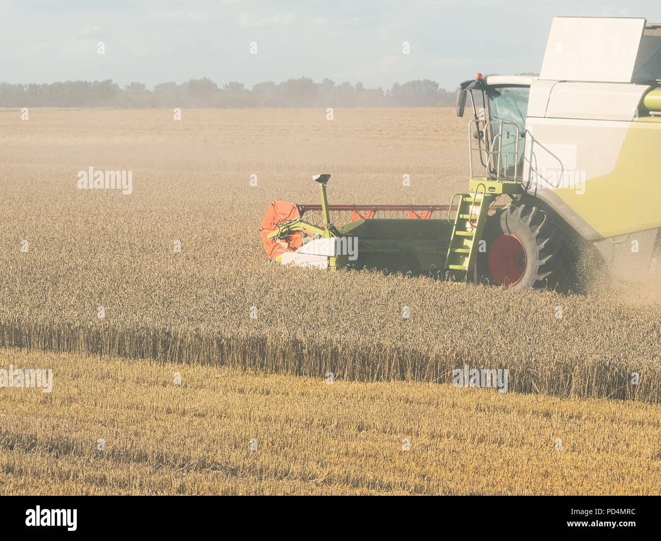 Combine harvester on wheat field hi-res stock photography and images ...
