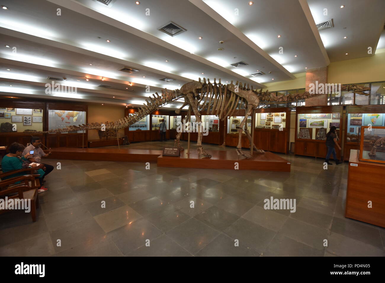 Fossilized Barapasaurus tagorei skeleton, Geology Museum, ISI, Kolkata ...