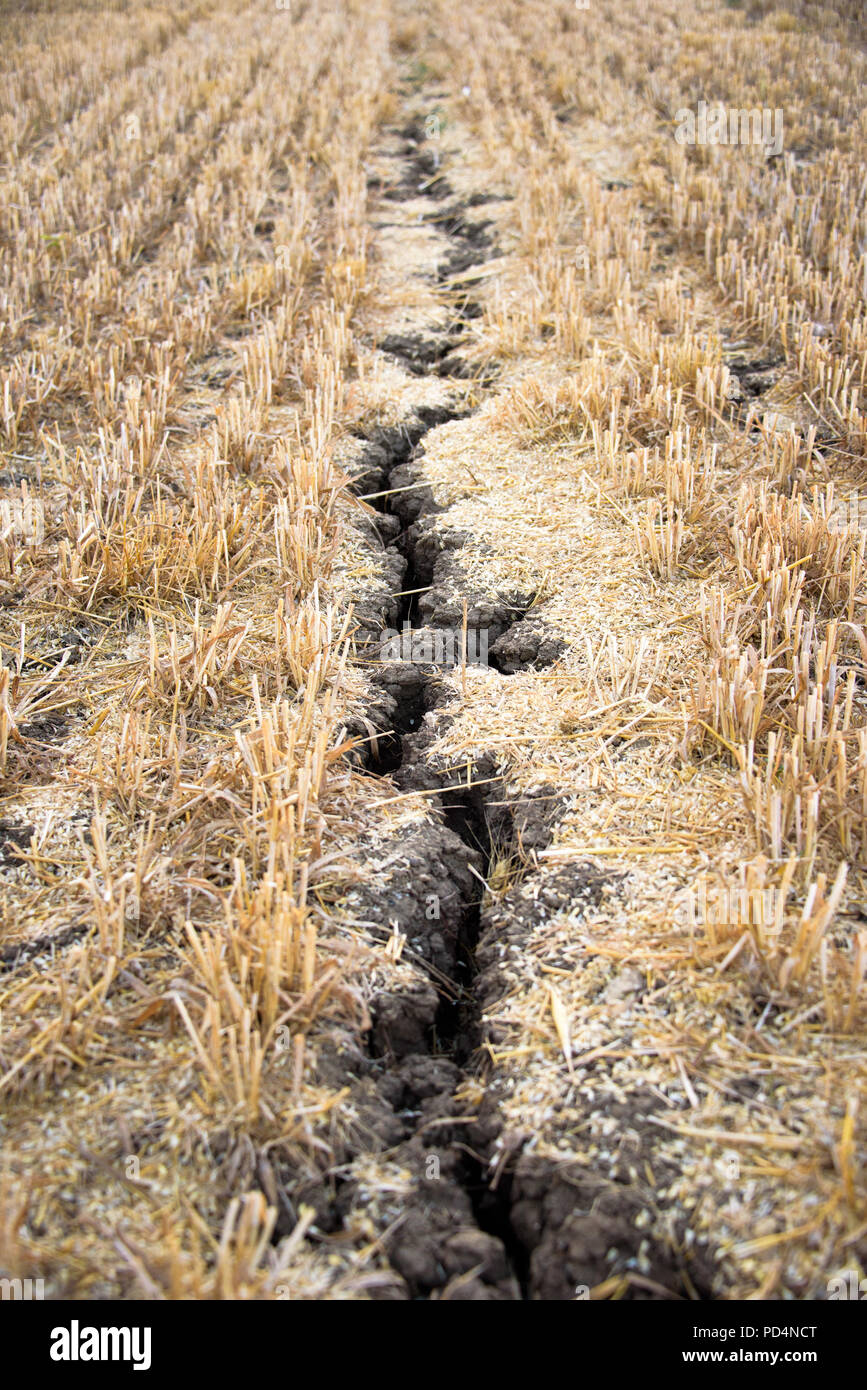 Dry cracked farmland during heatwave Stock Photo - Alamy