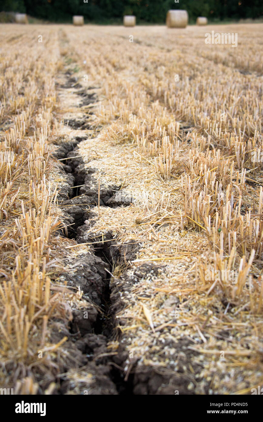 Dry cracked farmland during heatwave Stock Photo - Alamy