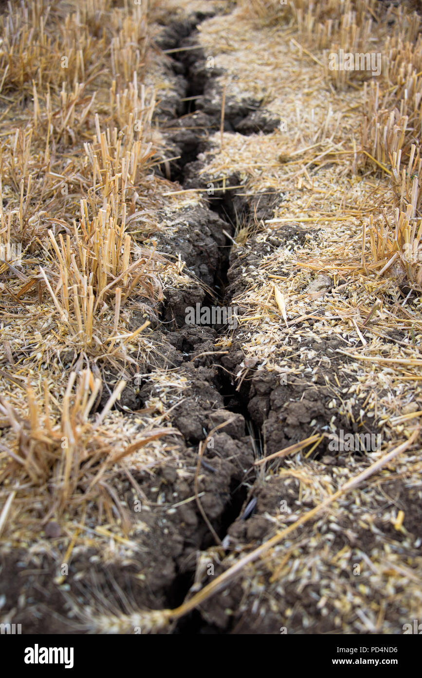 Dry cracked farmland during heatwave Stock Photo - Alamy