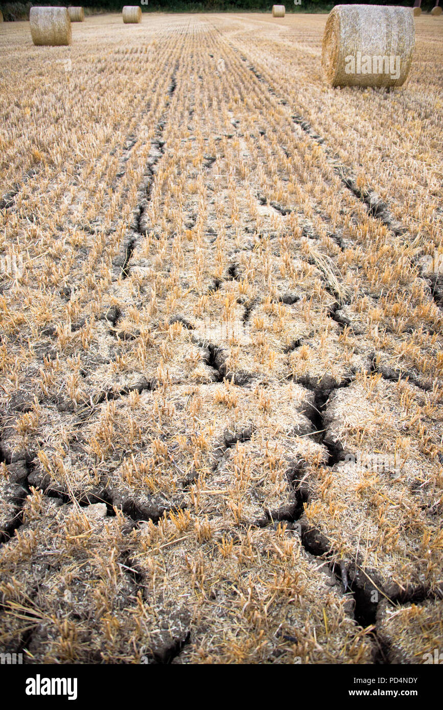 Dry cracked farmland during heatwave Stock Photo - Alamy