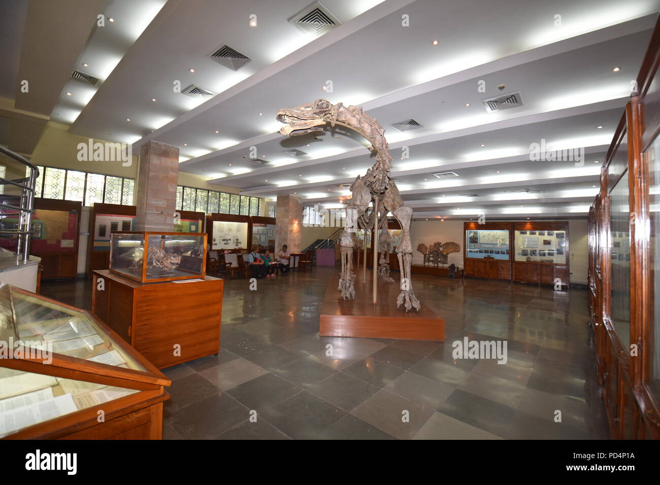 Geology museum interior, ISI, Kolkata Stock Photo - Alamy