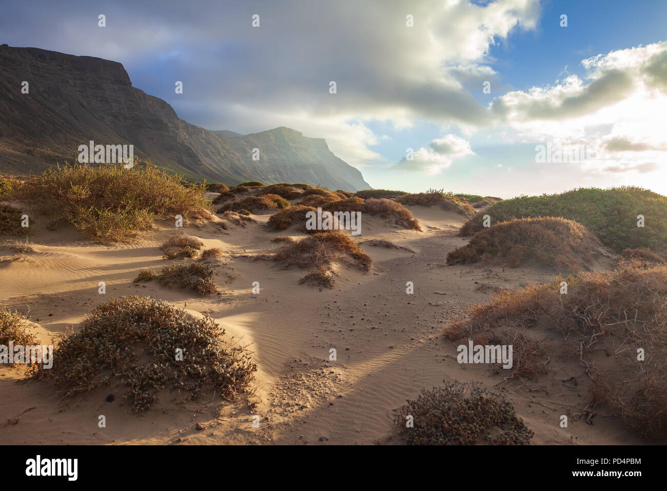 Desert mountain landscape of unique Lanzarote nature. Travel ...